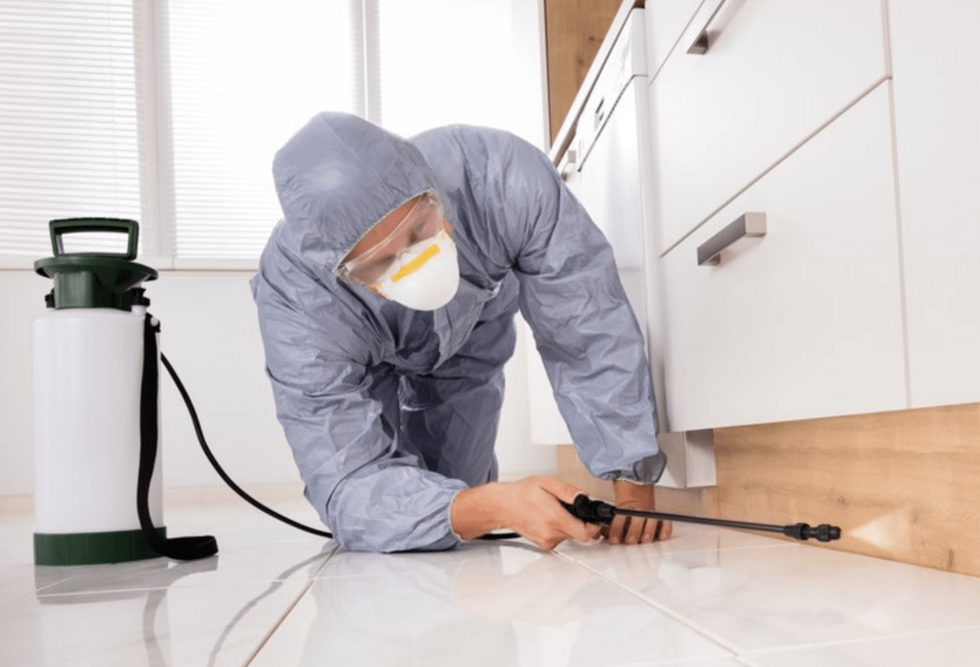 CPC Pest Control - Kolkata's Leading Pest Control Services